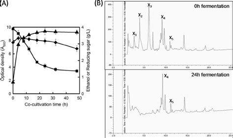 A Time Profiles Of Cell Density Reducing Sugar And Ethanol