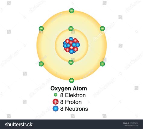 Oxygen Atom Structure Oxygen Atom Diagram Stock Illustrations 796