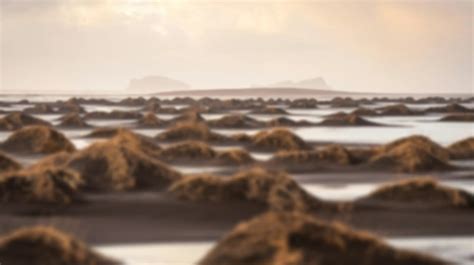 Zencoder The Ai Coding Agent