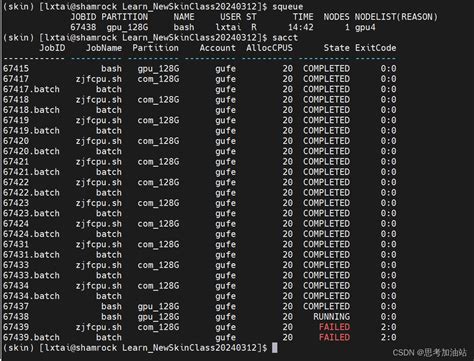 小白使用超算slurm作业调度系统提交作业（看完这篇就够了）超算脚本提交参数 Csdn博客