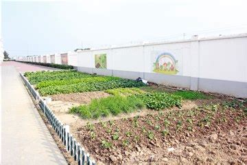 常州市武进区南夏墅中心小学