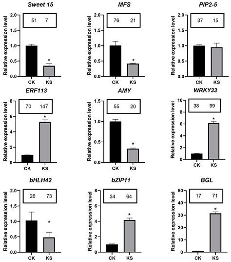 Physiological And Transcriptomic Analysis Of Citrus Fruit Segment