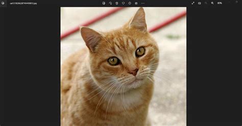 Abhinaw Tripathi On Linkedin Proxy Design Pattern With Kotlin And
