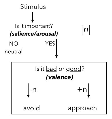 Theory The Bayesian Brain Hypothesis Explained Addspeaker