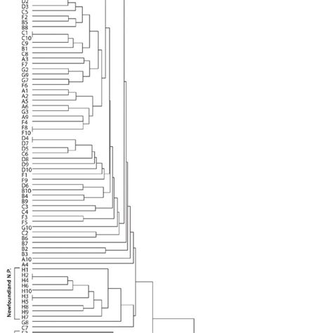 An Upgma Dendrogram Showing The Squared Euclidian Distances Of The