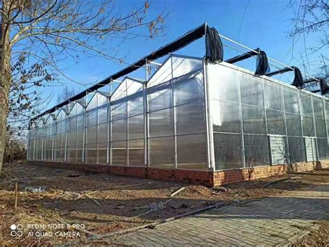 중국 Venlo 유형 폴리 카보네이트 온실 공급 업체 제조업체 공장 중국산 Jianda Greenhouse