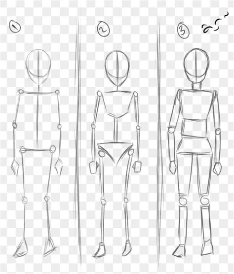 تريد تضبط جسم الانمي تعلم من هنا ٣خطوات بس للرسم جسم انمي اسهل طرق 🥰