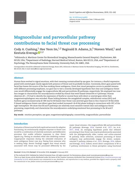 Pdf Magnocellular And Parvocellular Pathway Contributions To Facial