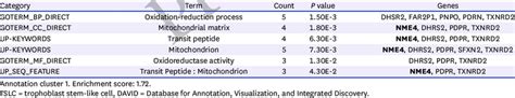 functional annotation clustering in the tslcs from preeclamptic