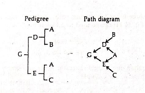 Calculating Inbreeding Coefficient Syekat Fish World