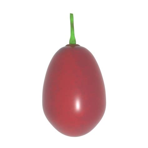 3d Ziziphus Models Turbosquid