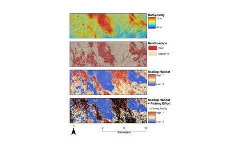 benthic habitat mapping hydro international