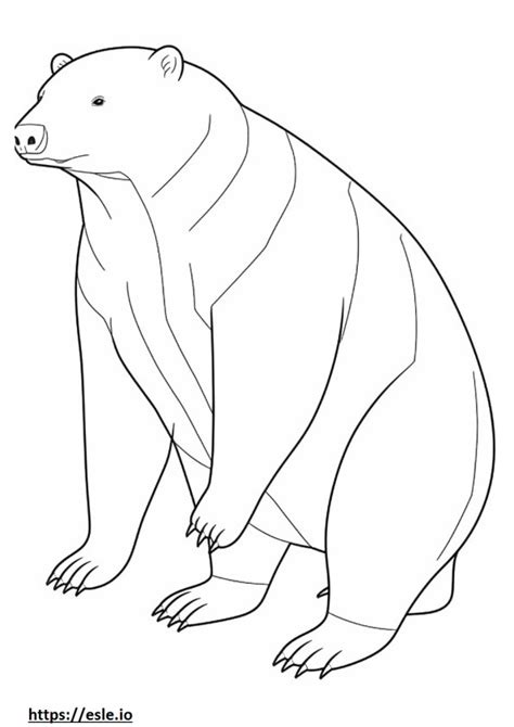Badger Coloring Pages Free Printable