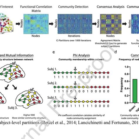 Functional Brain Networks Were Constructed From Resting State Fmri Download Scientific Diagram