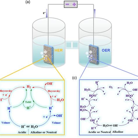A Schematic Illustration Of The Ru Ruo2 Cnt Electrocatalysts Download Scientific Diagram