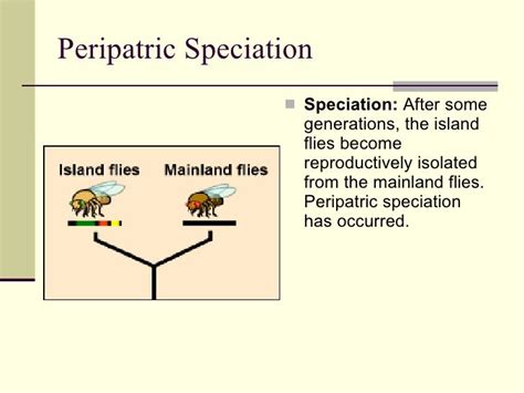 Models Of Speciation