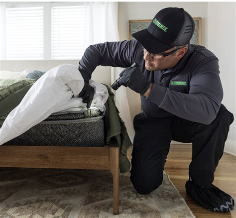 Effective Bed Bug Treatment Methods Linuxexpoamsterdam