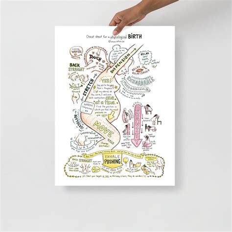 en english poster cheat sheet for physiological birth etsy