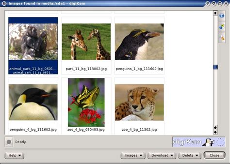 Snap Happy With Free Software
