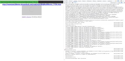 unable to open display · issue 471 · mpromonet webrtc streamer · github