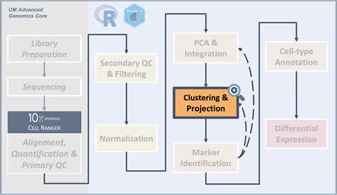 Clustering And Projection
