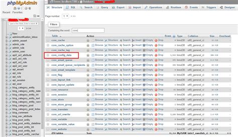 How To Fix Magento Redirection Issue After Migration