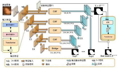 基于双尺度编码器网络的医学图像分割方法、设备和介质