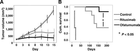 Ofatumumab Delayed Tumor Growth And Prolonged Survival In An In Vivo