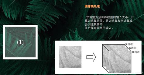 基于卷积神经网络及迁移学习的掌纹识别 基于卷积神经网络的掌纹识别 csdn博客