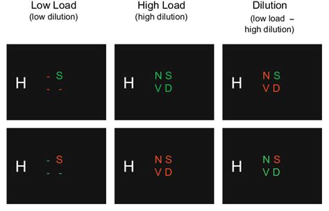 Experiment 1 Examples Of Stimulus Displays Download Scientific Diagram