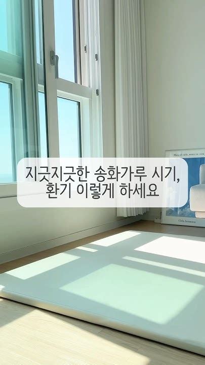 ️지긋지긋한 송화가루 시기 환기 이렇게 하세요🕊️ Youtube