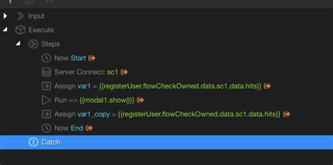 Flows Setting Values From A Sc Calls Data Doesnt Work On First Run Wappler General