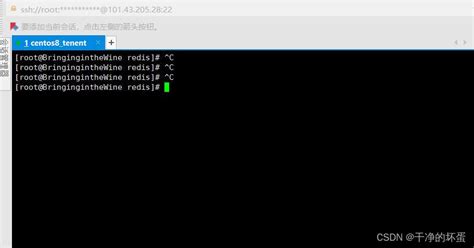 Xshell一直出现c ,不知道怎么一直按ctrl Cxshell Ctrlc总出c Csdn博客 Xshell一直出现c ,不知道怎么一直按ctrl Cxshell Ctrlc总出c Csdn博客