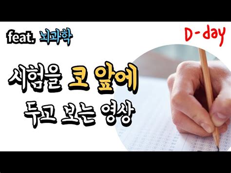 시험 직전 반드시 알아야 할 두가지 ㅣ 뇌과학 수능 임용고시 공시 수험생 시험