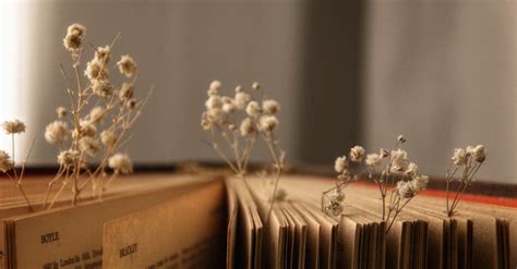 거친 건조한 고요한 골동품 꽃 장식 독서하는 드라이플라워 디자인 요소 따뜻한 음색 러스틱 문학 문호 미니멀