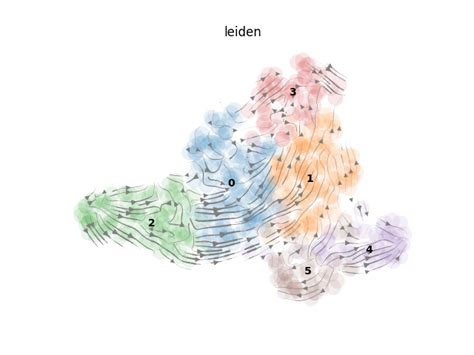discordance between arrows in different velocity embeddings · issue