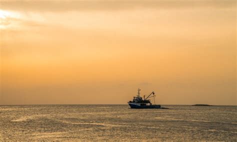 Die Rolle Der Fischerei In Der Geschichte Der Stadt Kiel Kieler