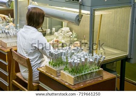 MICRO PROPAGATION Stock Photos And Images Avopix Com