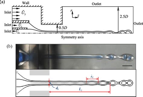 A Computational Domain For The Axisymmetric Simulations Of Cff Flows