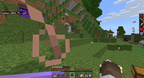 Major Singleplayer Lag Originating Around My Main House Is There Any Fix Tips To Reduce