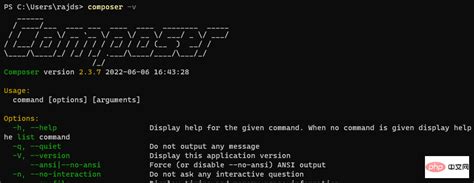 如何在 Windows 11 或 10 上安装 Php Composer 常见问题 Php中文网