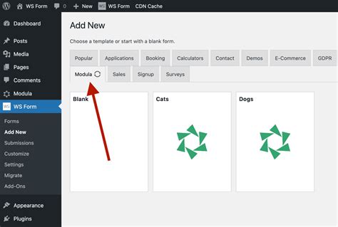 Modula Add On Ws Form