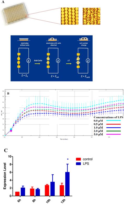 Real Time Cellular Analysis Rtca Of Micro Electrical Impedance Download Scientific Diagram