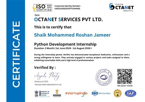 Python Internship Programming Learning Octanet Coding