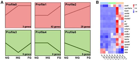 黄海水产研究所珊瑚礁鱼类社会行为与性别分化关系的研究取得新进展 黄海水产研究所