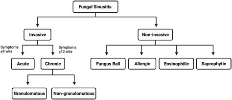 Current Classification System Of Fungal Sinusitis Download