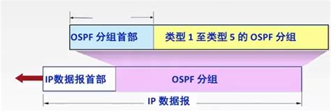 计算机网络：ospf协议和链路状态算法在ospf协议中链路状态算法用于 Csdn博客