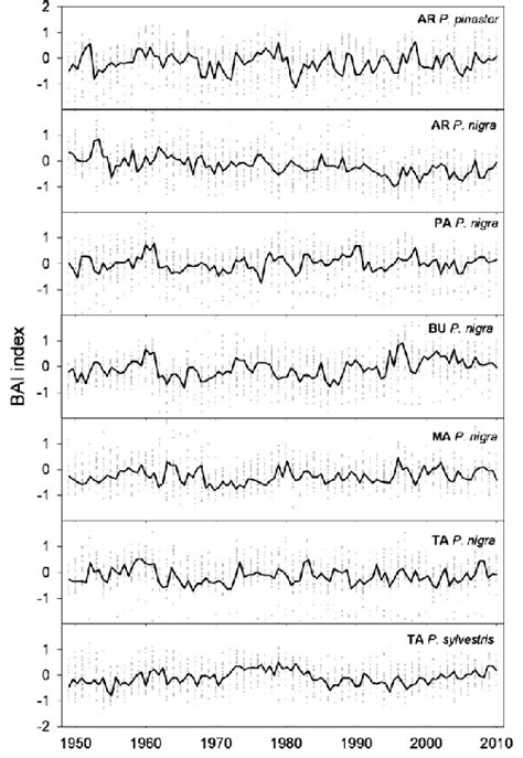 Individuals Bai Indexes Points And Mean Bai Index Chronology Black