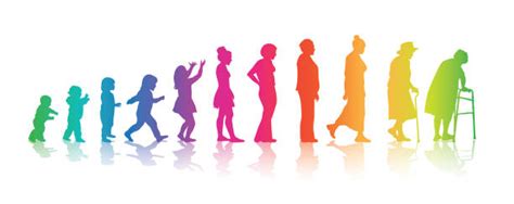 2 900 Timeline Clipart Stock Illustrations Royalty Free Vector