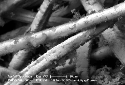 How Can I Do Particle Analysis For Such Pictures As This ResearchGate